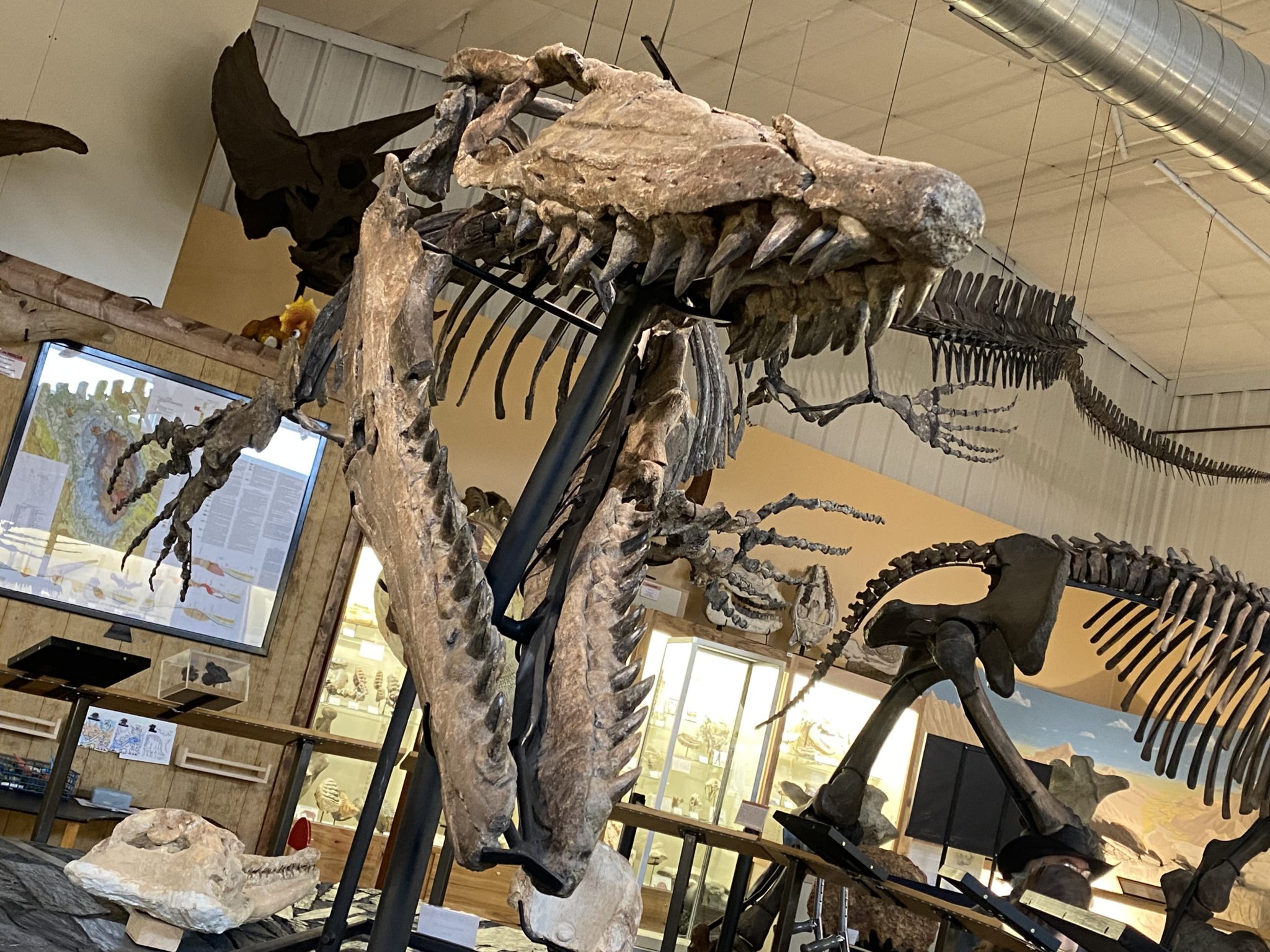 Hot Springs Museum Offering Free Day – KCSR / KBPY