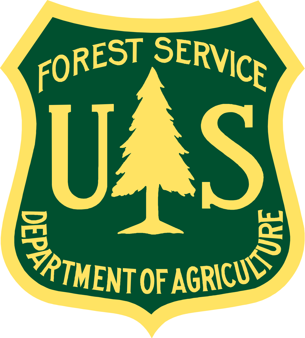 Christmas Tree Permits Available Online Through recreation.gov From ...