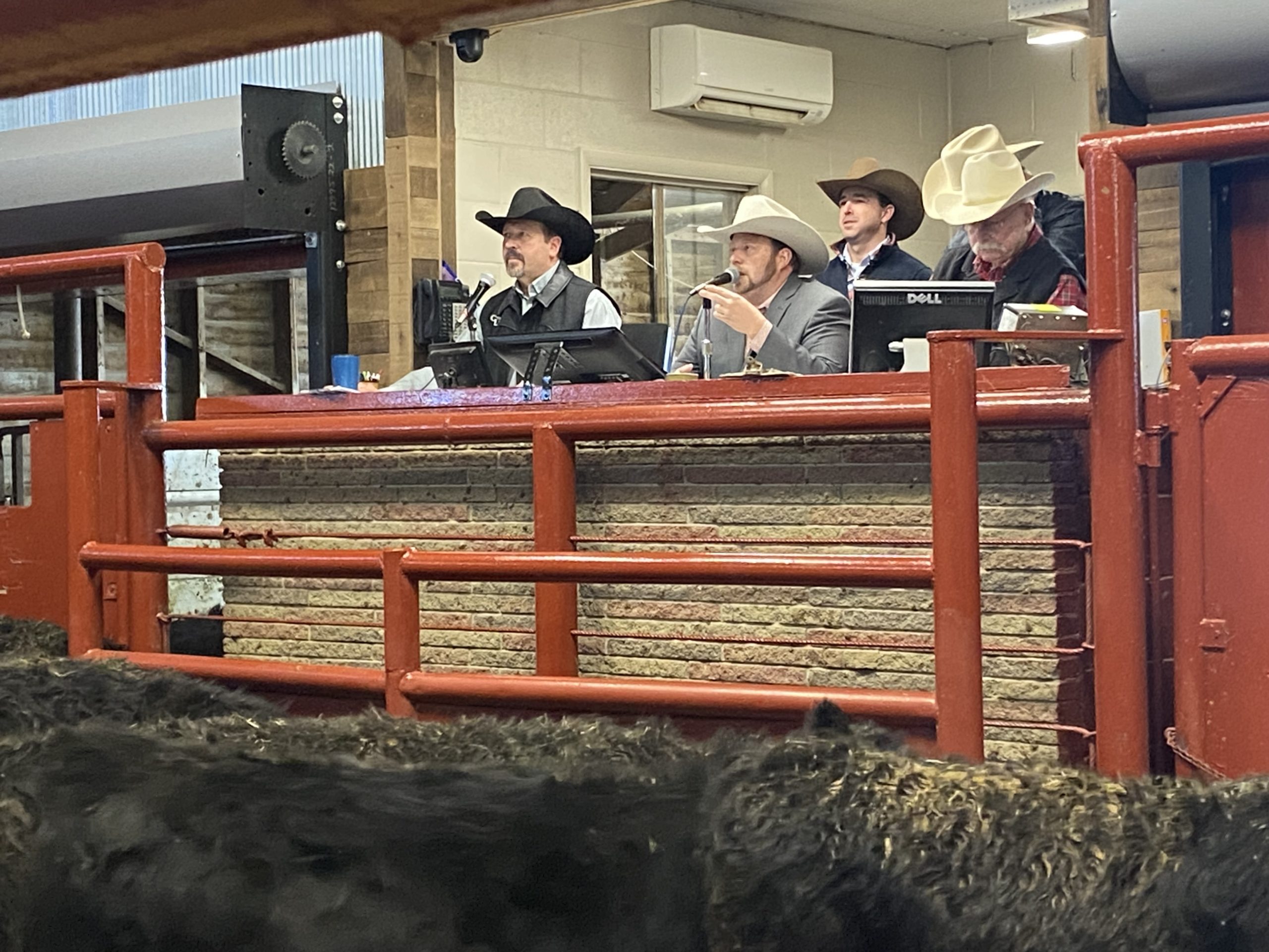 Greater Midwest Livestock Auctioneer Contest – KCSR / KBPY