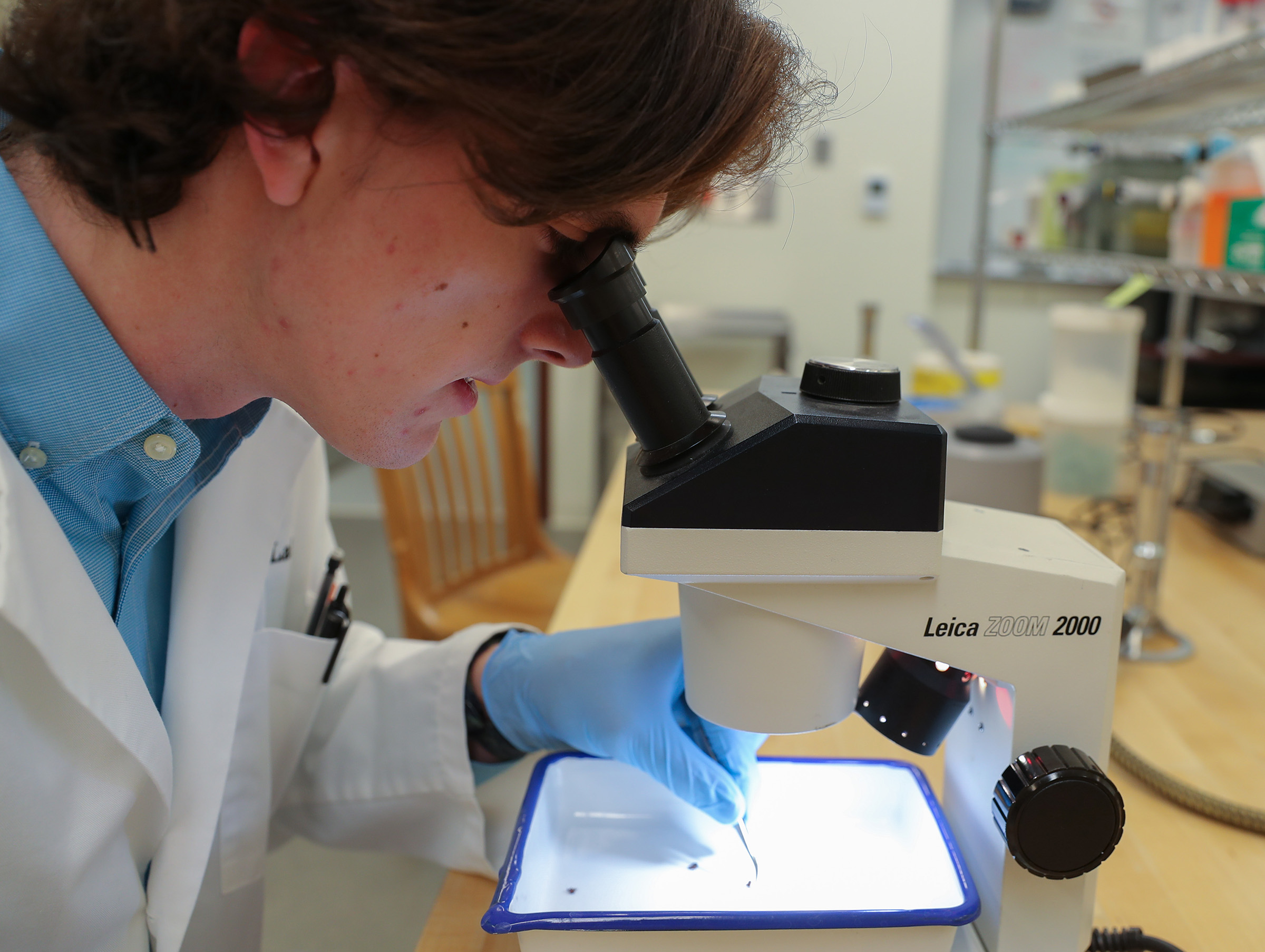 Tick Testers: UNK Researchers Study Tiny Pest that Can Cause Big ...