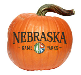 Enjoy Halloween Fun in Nebraska State Parks – KCSR / KBPY