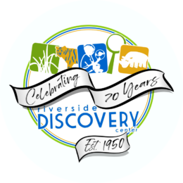 Two New Squirrel Monkeys Arrive at Riverside Discovery Center – KCSR / KBPY
