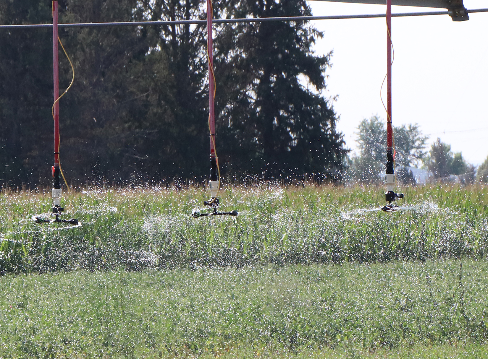 UNL and Nebraska Company Collaborate on New Valve for Pivot Irrigation ...
