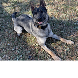 K9 Officer Helps Lead To Chadron Drug Arrests – KCSR / KBPY