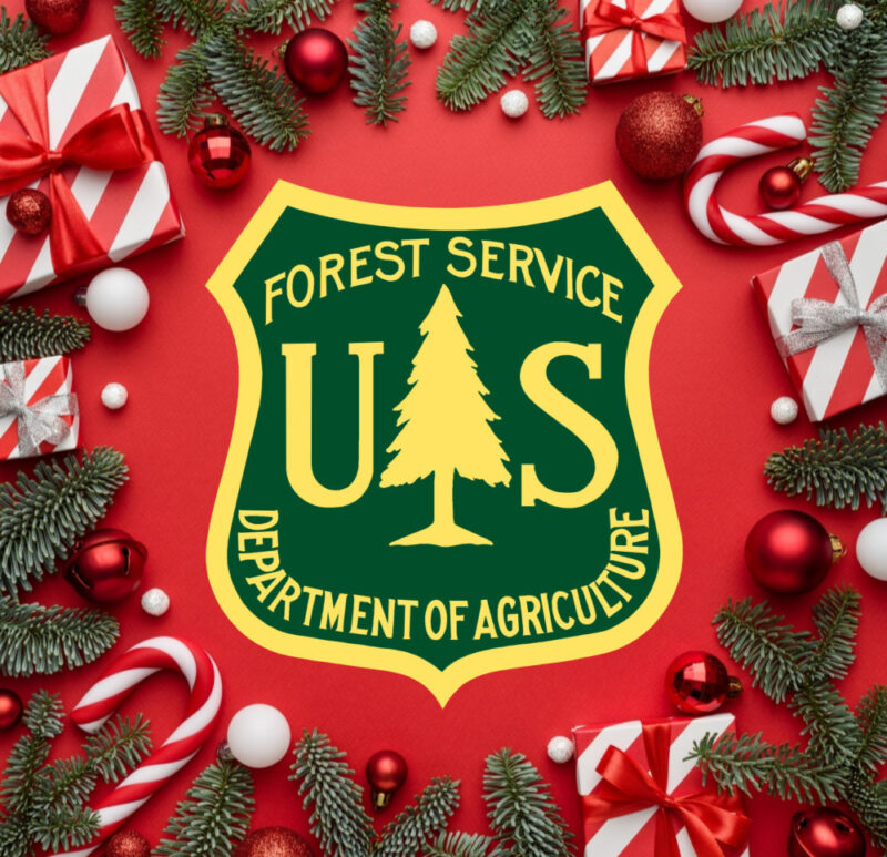 Christmas Tree Permits Now Available – KCSR / KBPY