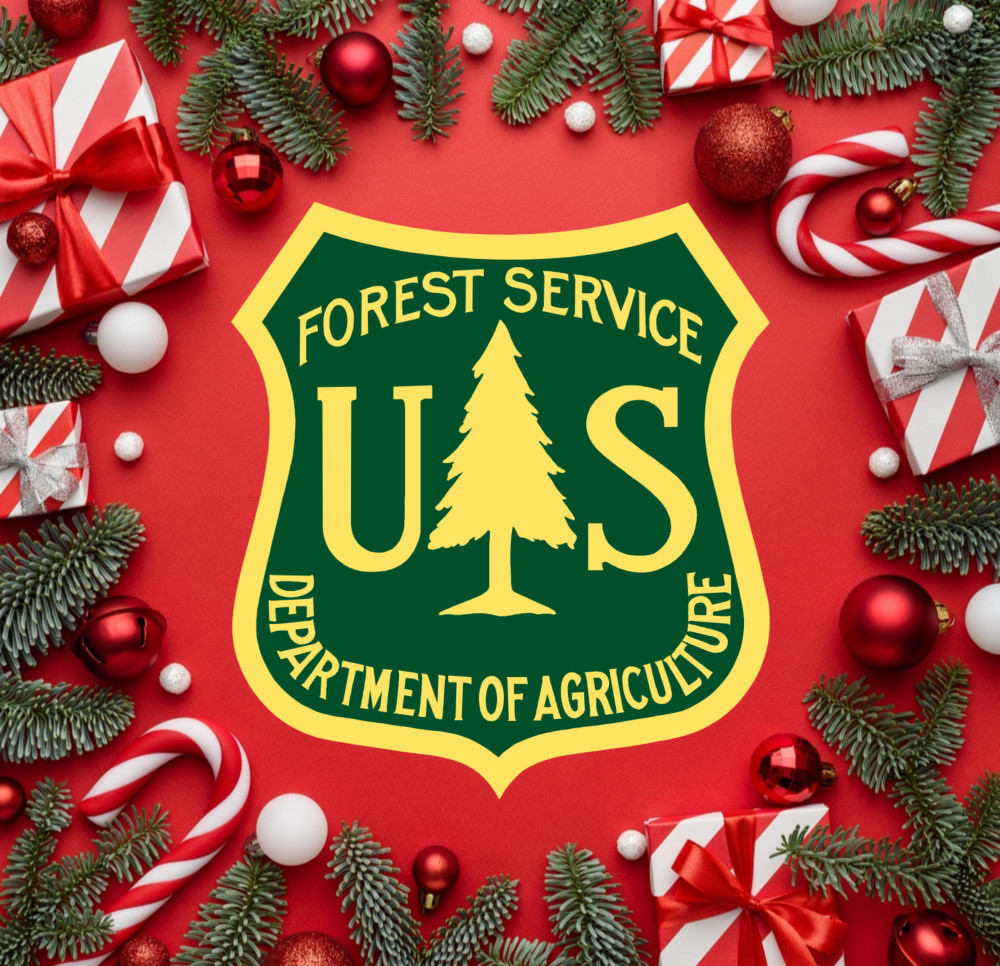 Christmas Tree Permits Now Available – KCSR / KBPY