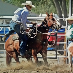 From Cowboy to Committee: Buffalo Bill Rodeo Leadership has Experience ...