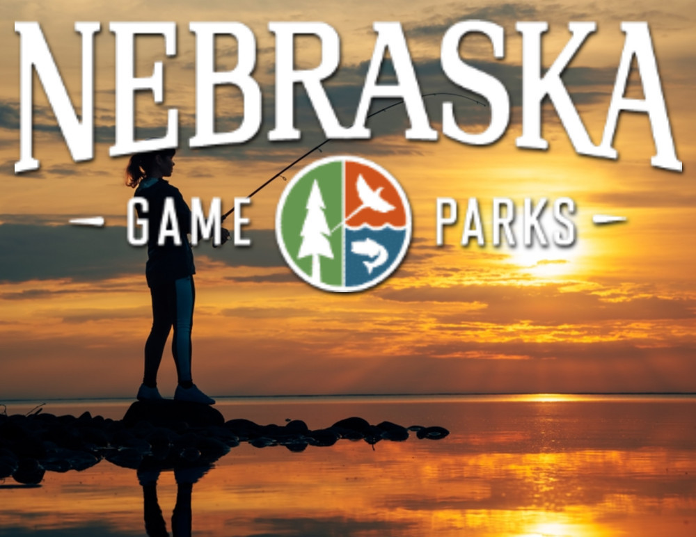 Anglers Will See Larger Trout Stocked This Spring – KCSR / KBPY