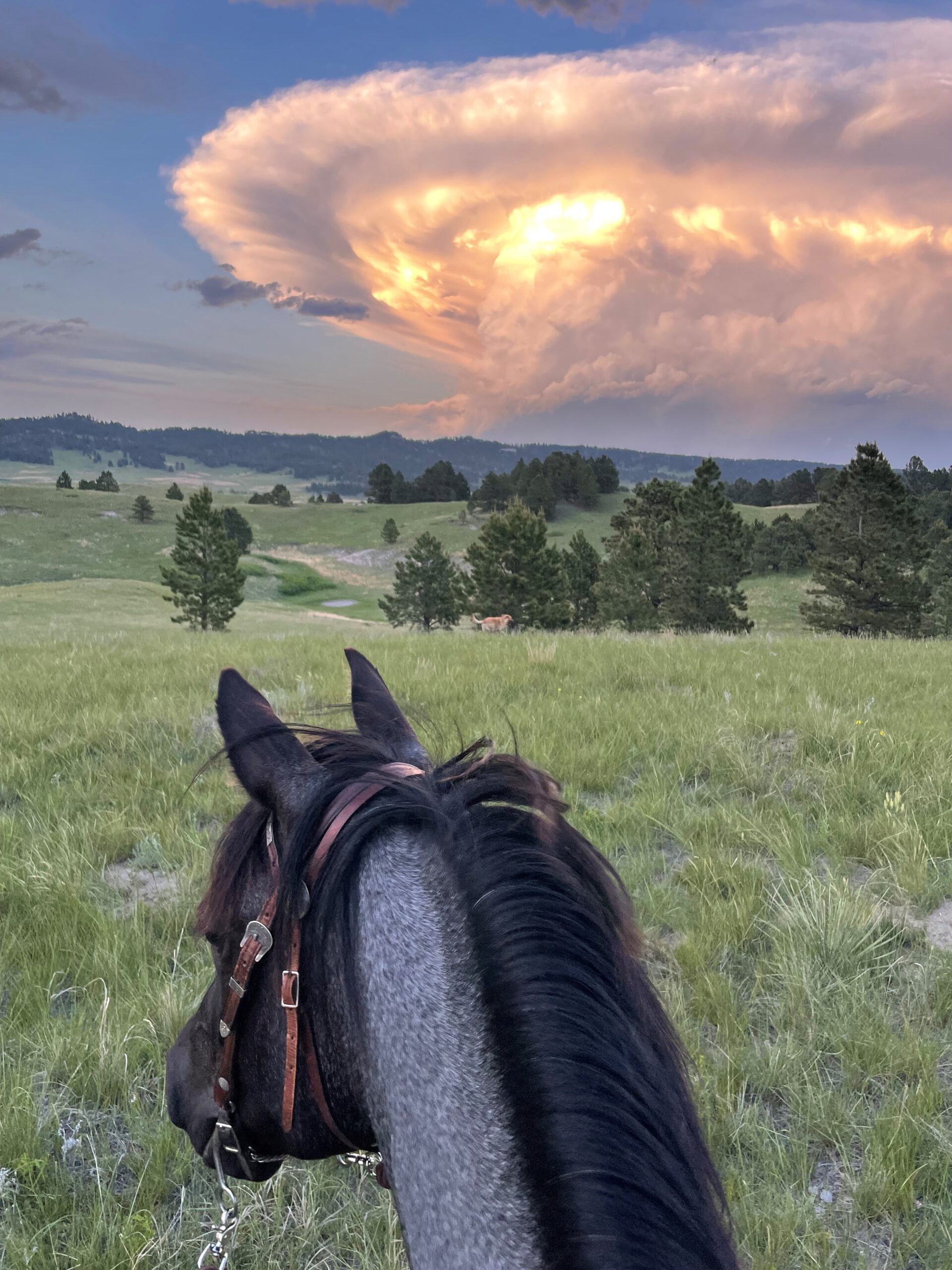 NRD Announces Photo Contest Winners – KCSR / KBPY