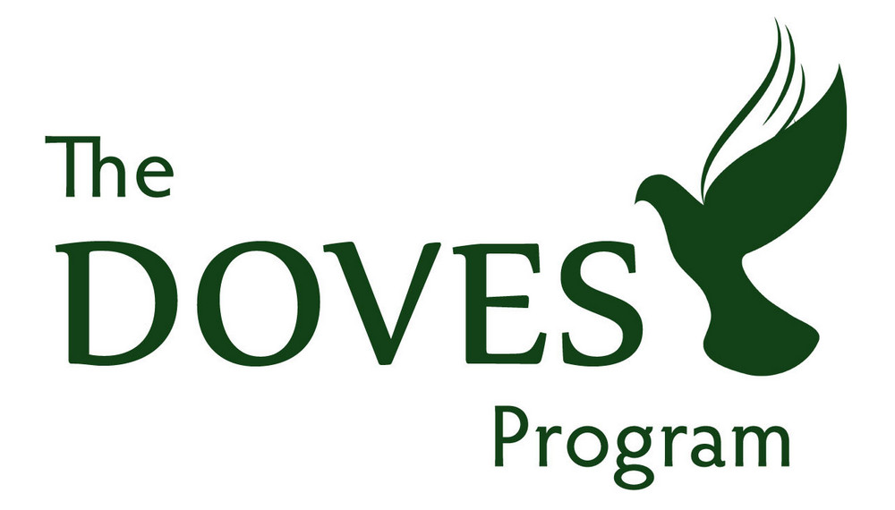 Tell Your Story: A Survivor-Centered Showcase – Where Every Story Finds ...