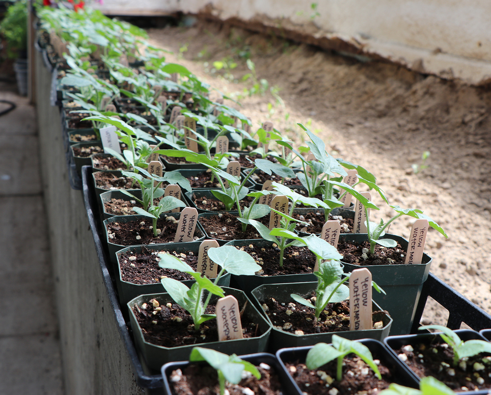 Growing for Market Statewide Program to be Held in Scottsbluff – KCSR ...