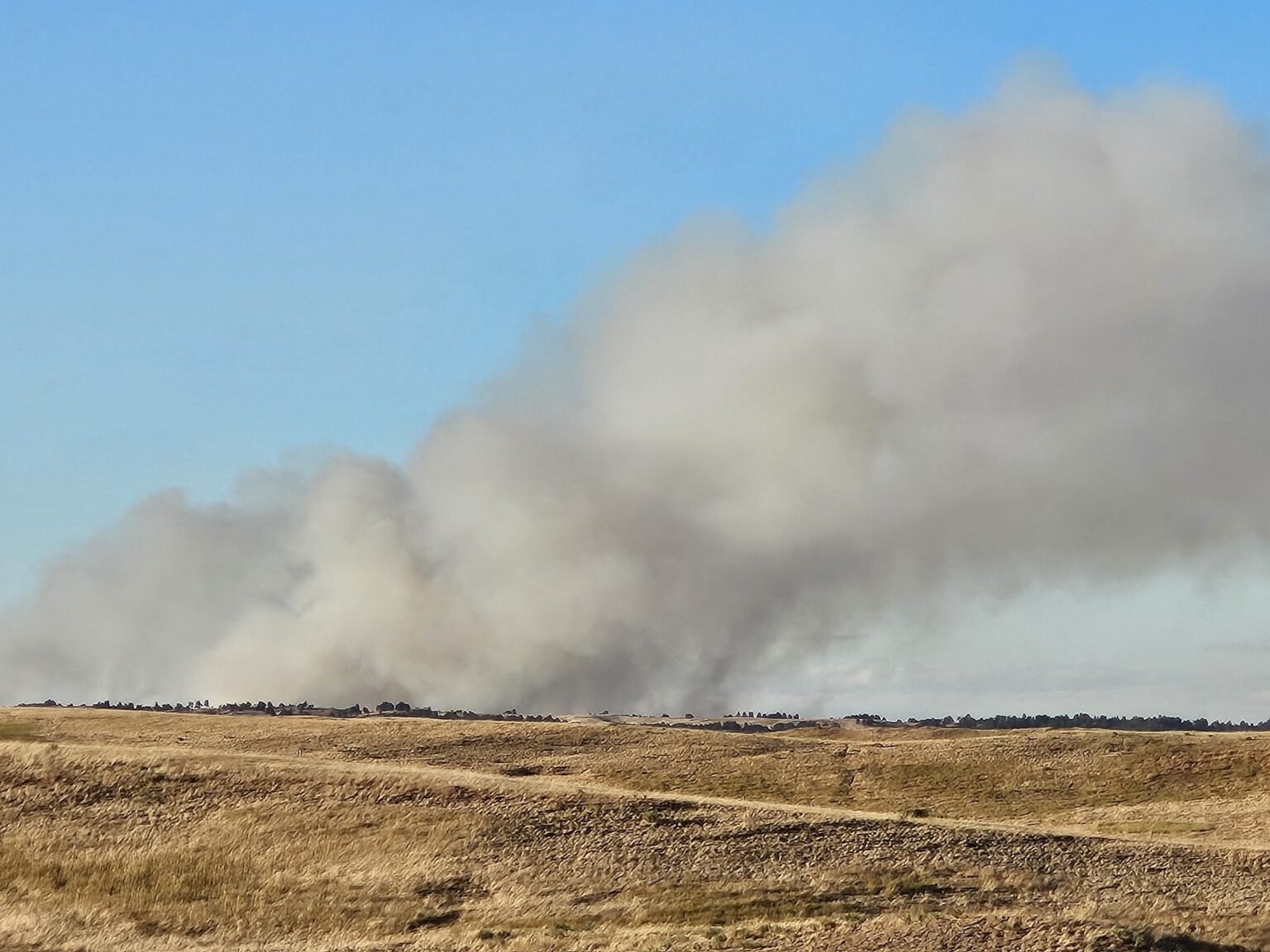 Update: Bronco Fire Now Over 900 Acres – KCSR / KBPY