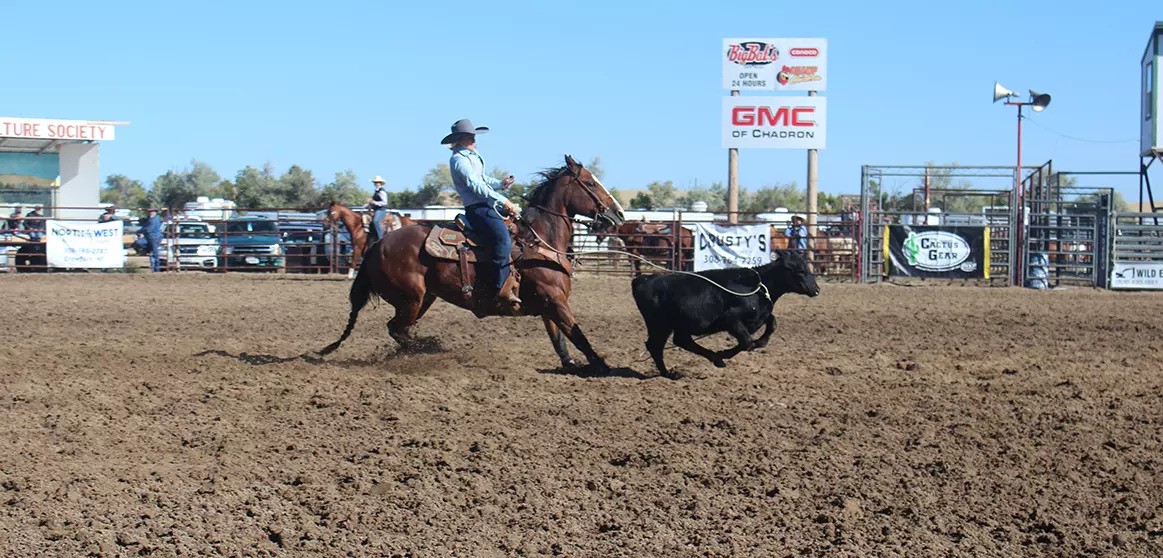 CSc hosting Rodeo This Weekend – KCSR / KBPY