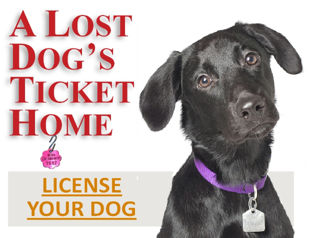 2025 Pet Licenses Now Available at Chadron PD – KCSR / KBPY