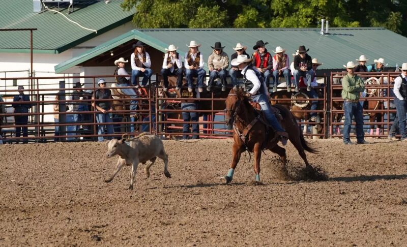 Freshmen Lead CSC Rodeo Team At Lamar – KCSR / KBPY