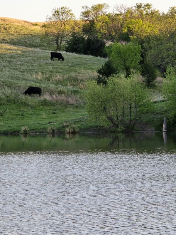 Ettie Brafford-Whirlwind Horse – KCSR / KBPY