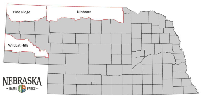 Mountain Lion Season Ends in Niobrara Unit – KCSR / KBPY