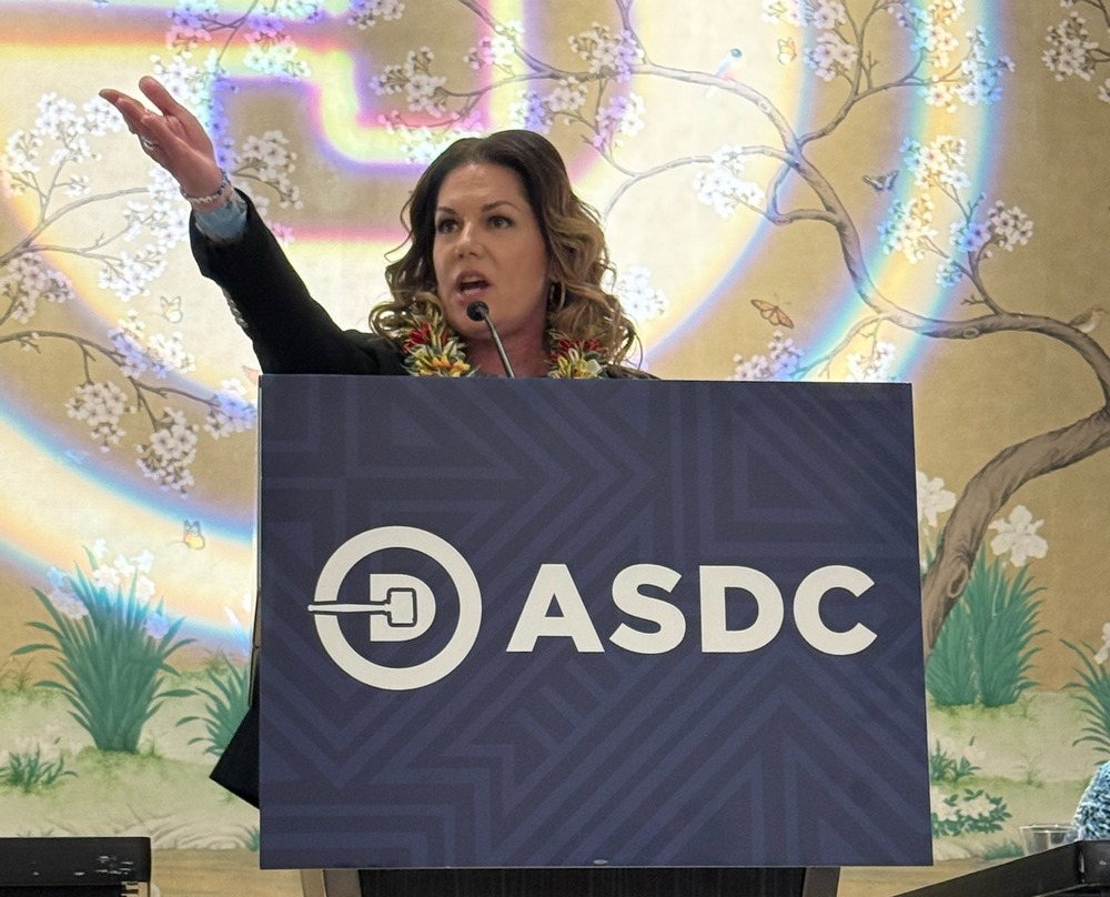 Nebraska Democratic Party Statement on NDP Chair Jane Kleeb Elected as ...