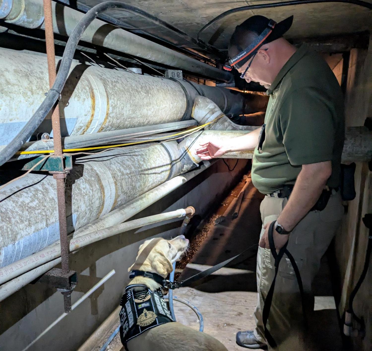 NSP Adds Electronics Storage Detection K9 to Tech Crimes Unit – KCSR / KBPY