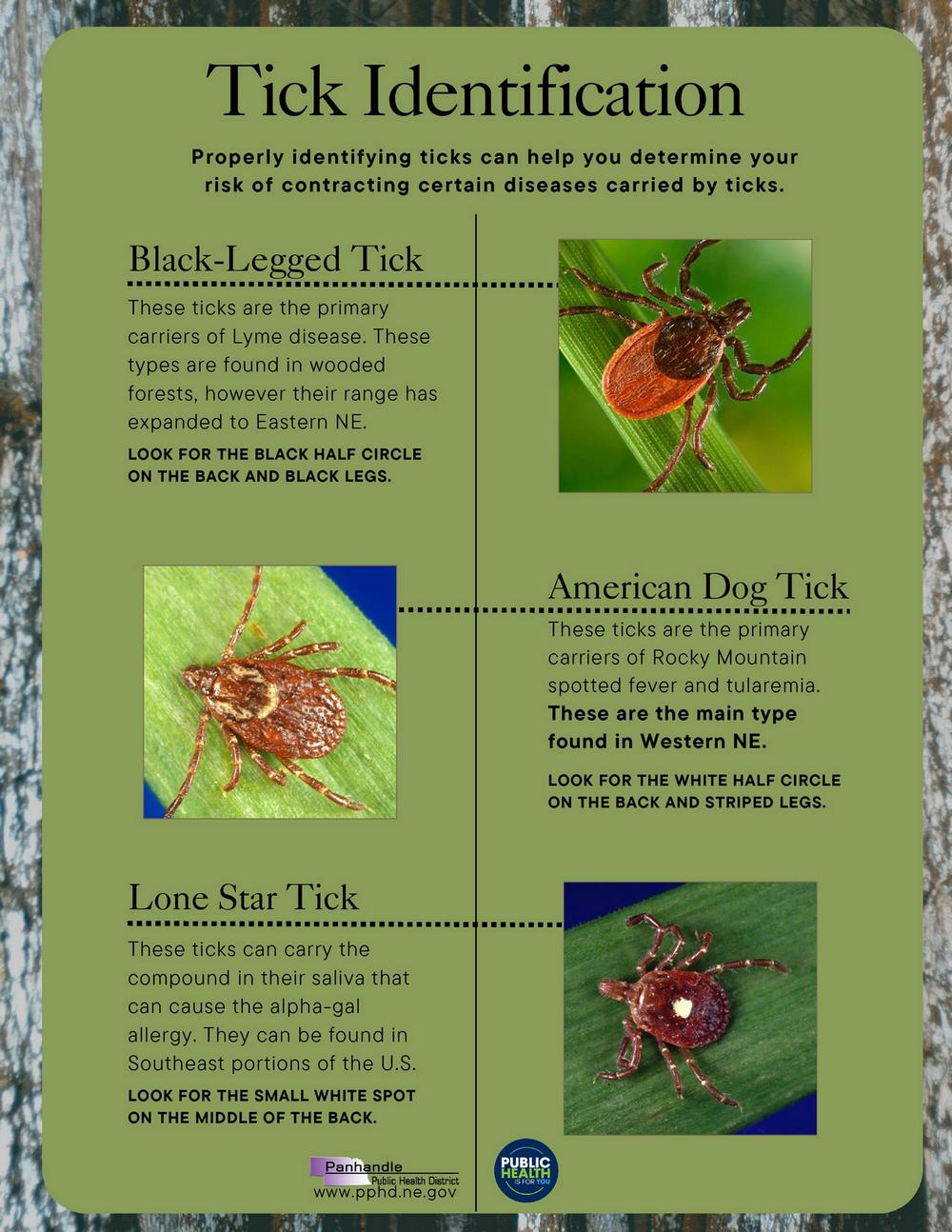 Stay Safe This Summer: Prevent Mosquito and Tick Bites – KCSR / KBPY