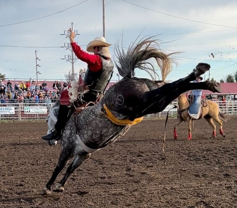Buffalo Bill Rodeo Set for Kick-off – KCSR / KBPY