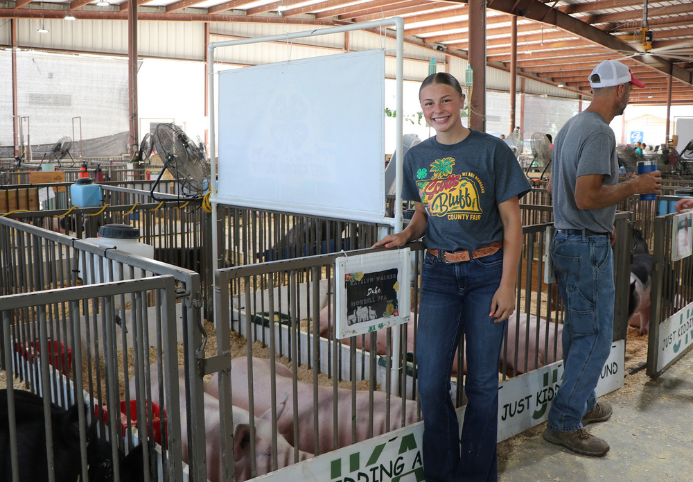 Swine Bring Energy and Personality to the Scotts Bluff County Fair ...