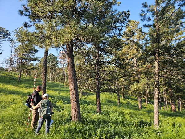 Meet Nebraska’s Wild Turkey Program Manager – KCSR / KBPY