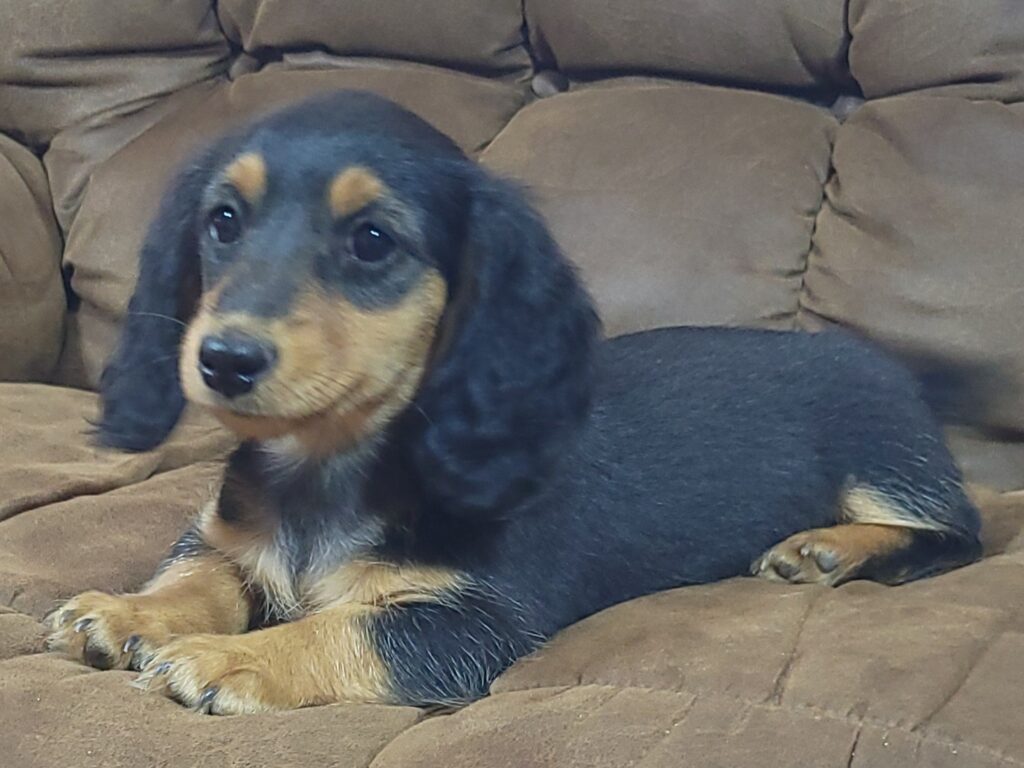 Swap Shop – KCSR / KBPY