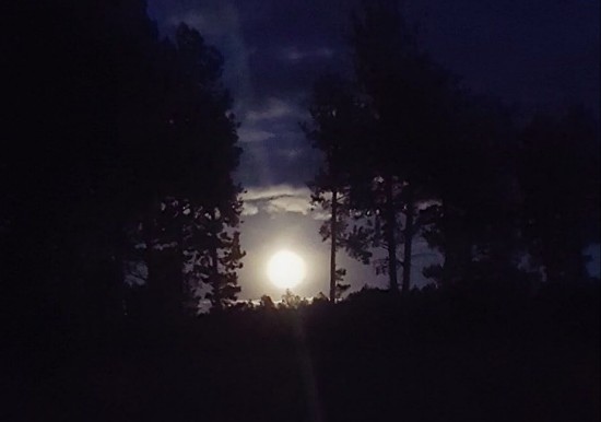 August Moon Walk Aug. 9 – KCSR / KBPY