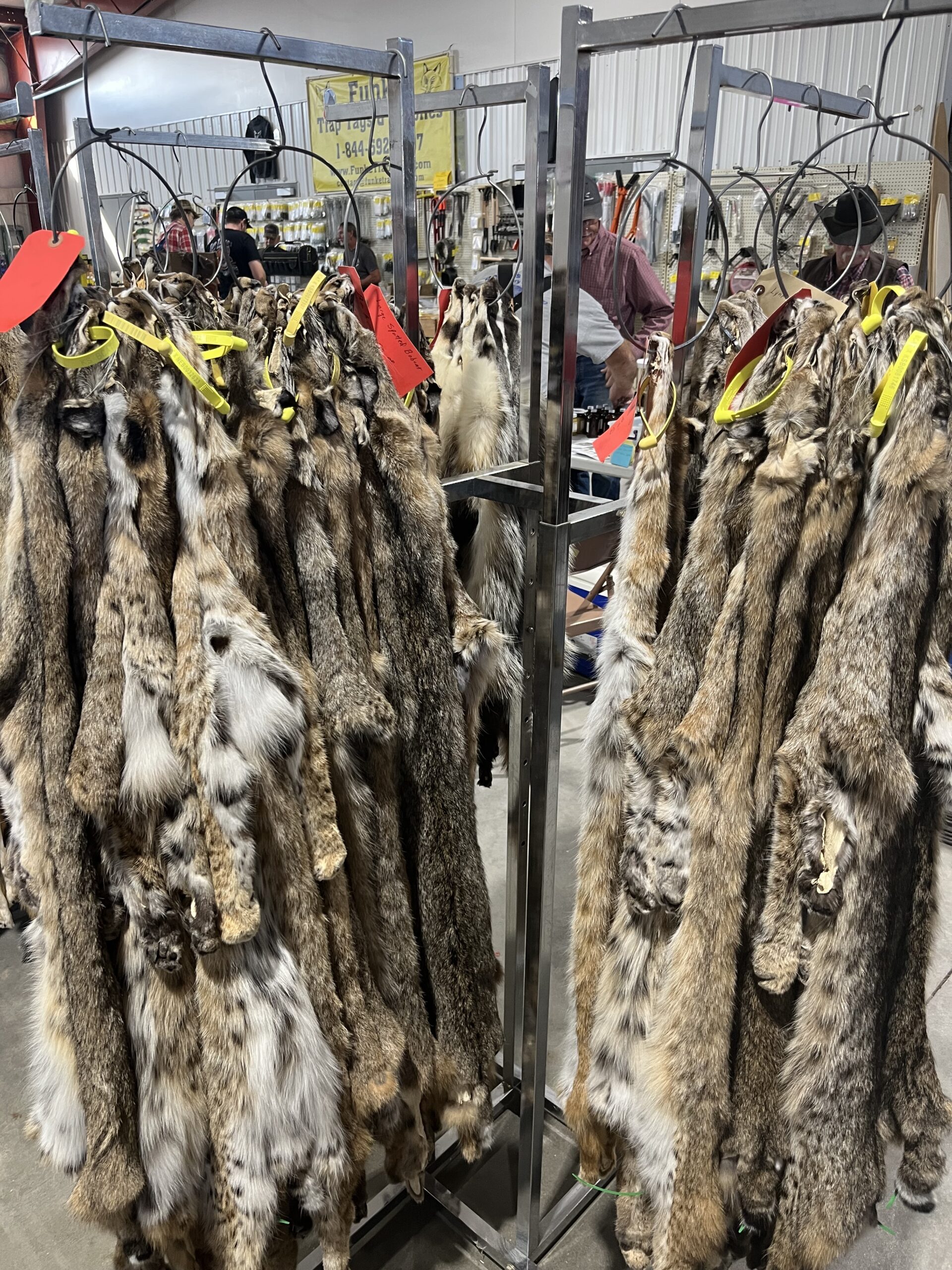 Chadron Welcomes Trappers for Fur Harvesters Convention – KCSR / KBPY