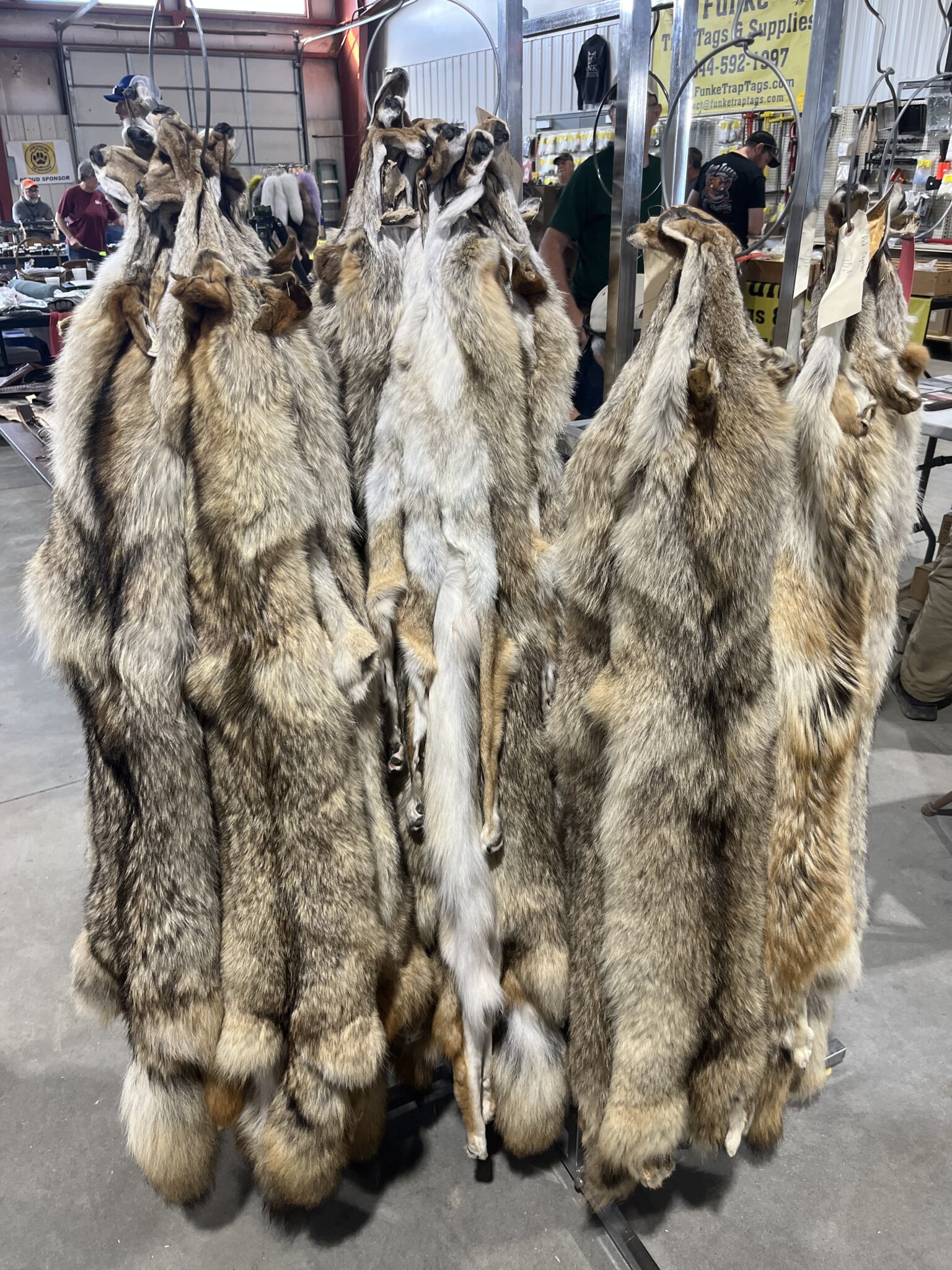 Chadron Welcomes Trappers for Fur Harvesters Convention – KCSR / KBPY