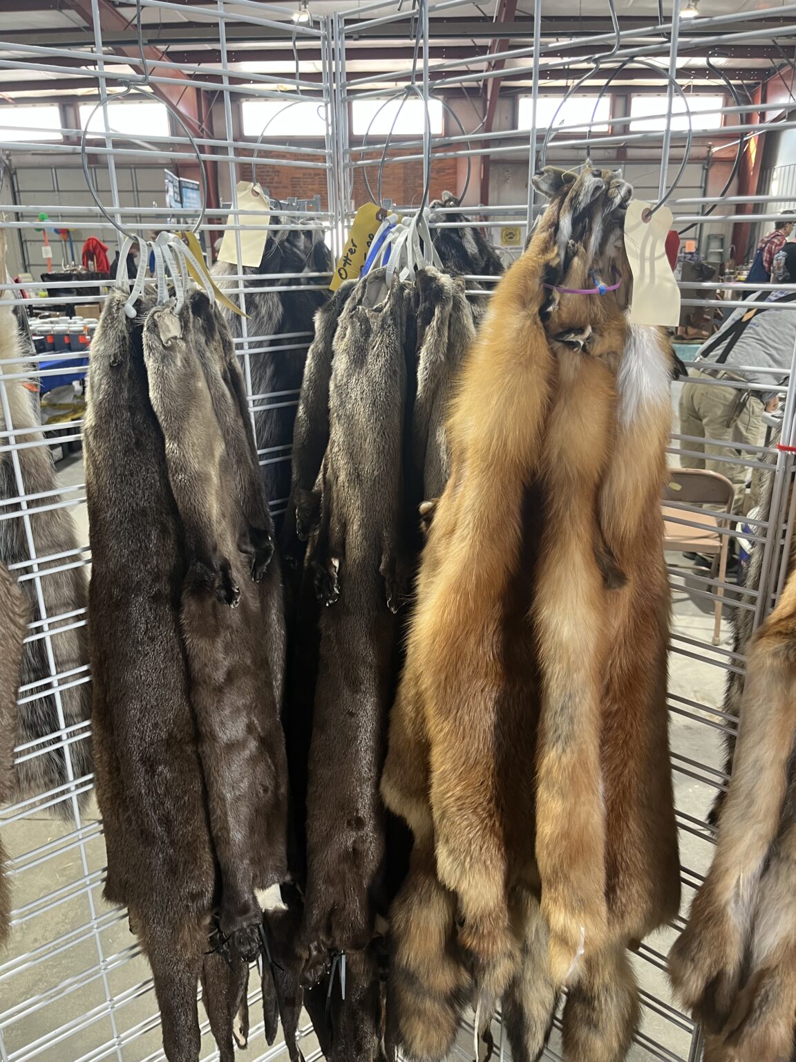 Chadron Welcomes Trappers for Fur Harvesters Convention – KCSR / KBPY