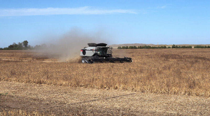 On-Farm Research Plots Harvest Last of Dry Beans – KCSR / KBPY