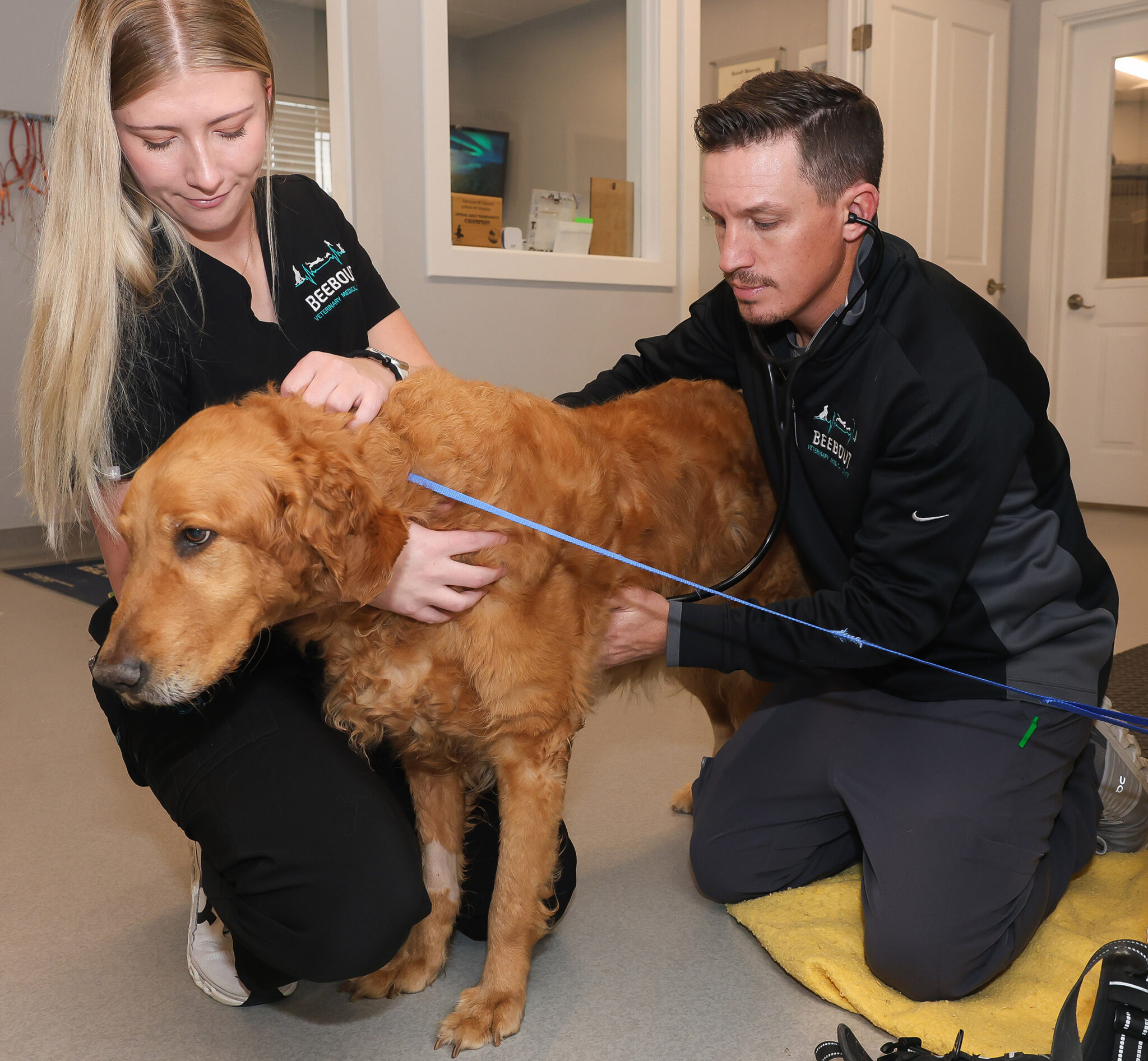 In UNK Pre-Vet Program, Students Learn to Care for Animals and Their ...